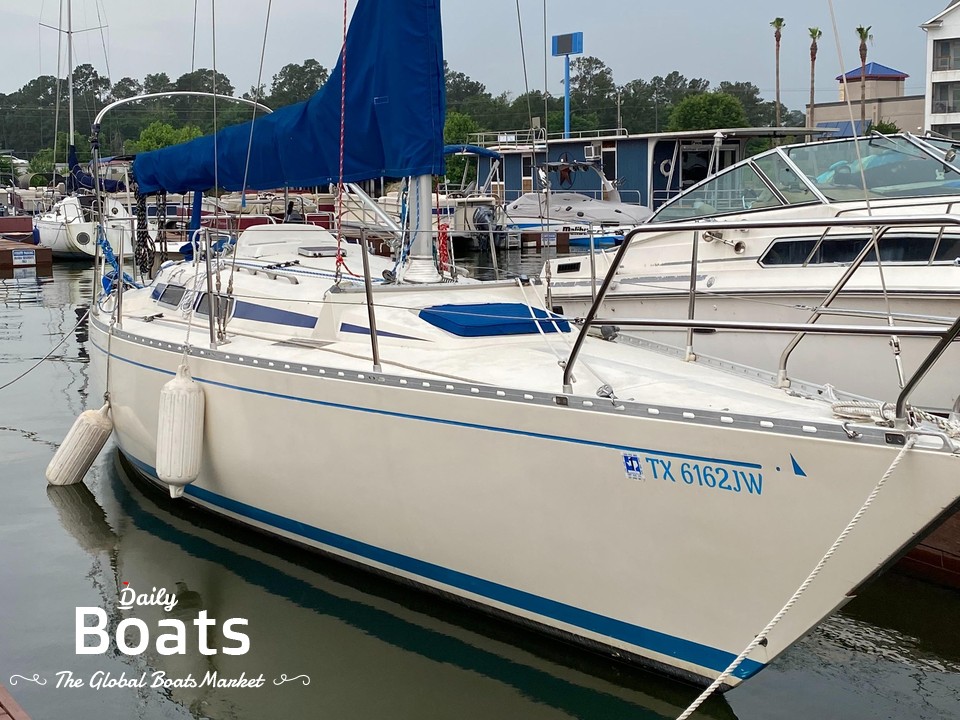 1984 Avance 33 for sale. View price, photos and Buy 1984 Avance 33 #303053