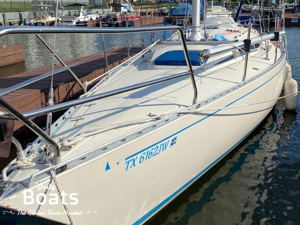 1984 Avance 33 for sale. View price, photos and Buy 1984 Avance 33 #303053