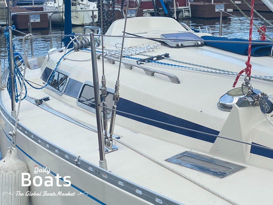 1984 Avance 33 for sale. View price, photos and Buy 1984 Avance 33 #303053