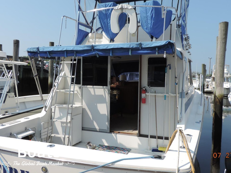 1982 Bertram 33 Sedan for sale. View price, photos and Buy 1982 Bertram ...