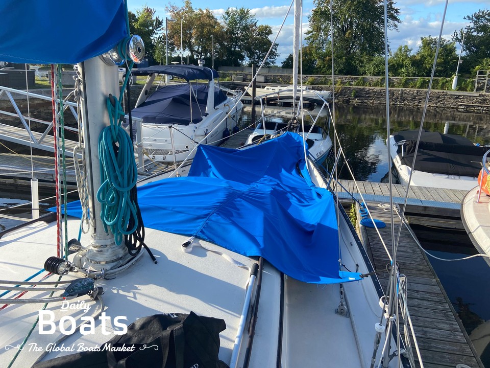 1981 Hinterhoeller Niagara 35 for sale. View price, photos and Buy 1981 ...
