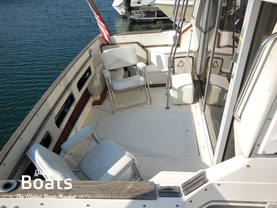1987 Sea Ray 340 Sedan Bridge for sale. View price, photos and Buy 1987 ...