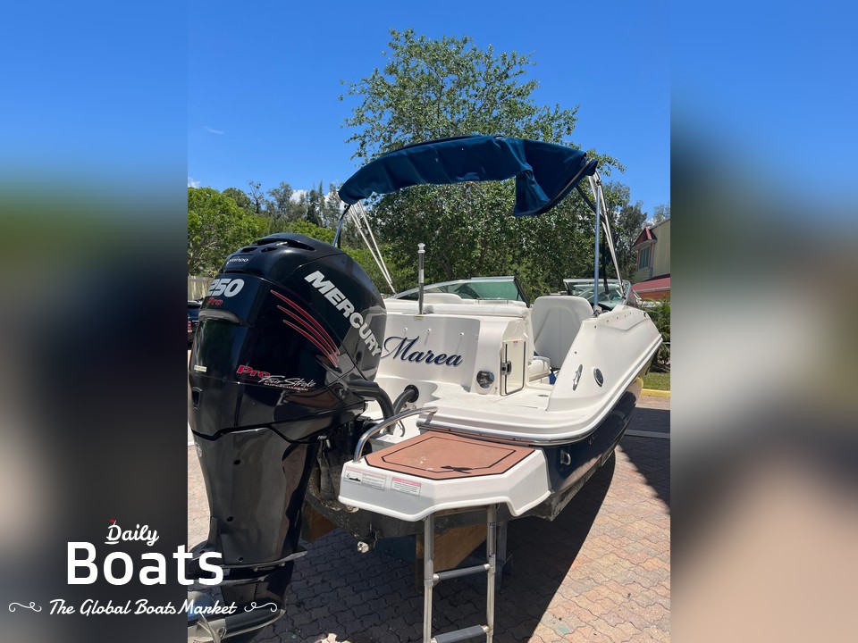 2014 Sea Ray 220 Sundeck Outboard for sale. View price, photos and Buy ...