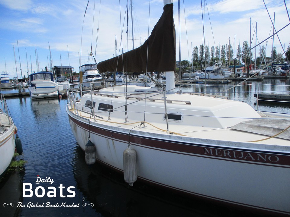 1979 CAL 31 for sale. View price, photos and Buy 1979 CAL 31 #305796