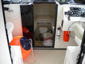 1998 C-Hawk 29 Pilot for sale. View price, photos and Buy 1998 C-Hawk ...