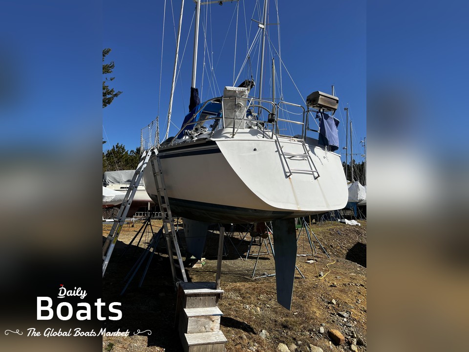 1983 Hunter 34 for sale. View price, photos and Buy 1983 Hunter 34 #306123