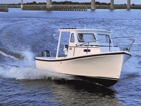 Eastern sisu 22 for sale - Daily Boats