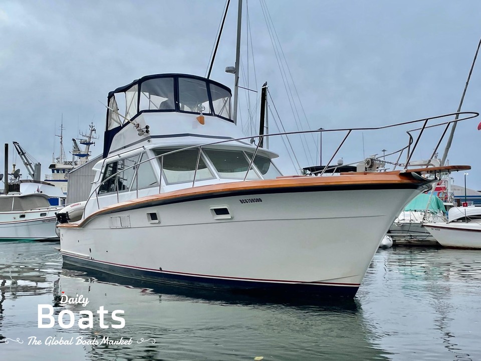 1974 Hatteras 38 Convertible for sale. View price, photos and Buy 1974 ...