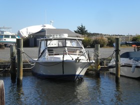 Blackfin combi for sale - Daily Boats