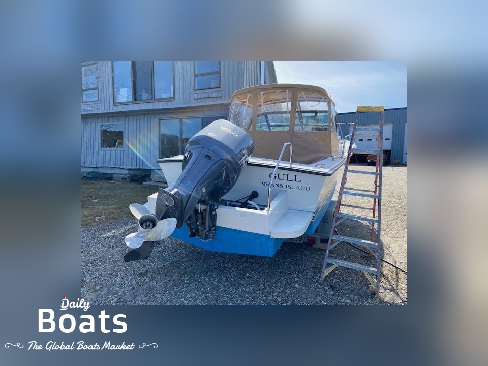 1988 Rampage Express Cruiser for sale. View price, photos and Buy 1988 ...