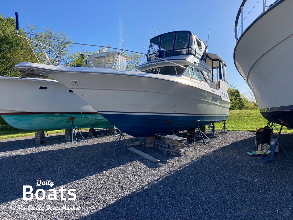 1990 Sea Ray 440 Aft Cabin for sale. View price, photos and Buy 1990 ...
