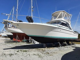 Sport fishing boats Sea Ray 30 for sale - Daily Boats