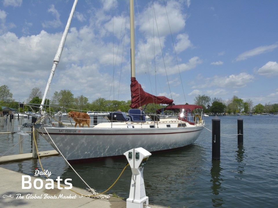 1980 Irwin Citation 39 for sale. View price, photos and Buy 1980 Irwin ...