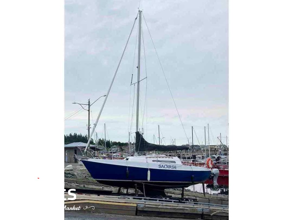 1979 Tanzer 26 for sale. View price, photos and Buy 1979 Tanzer 26 #309320