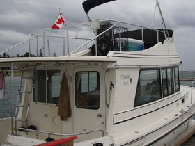 Camano Troll for sale. View price, photos and Buy Camano Troll #309477