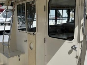 Camano Troll for sale. View price, photos and Buy Camano Troll #309477