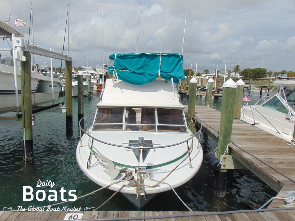 1986 Phoenix Convertible for sale. View price, photos and Buy 1986 ...