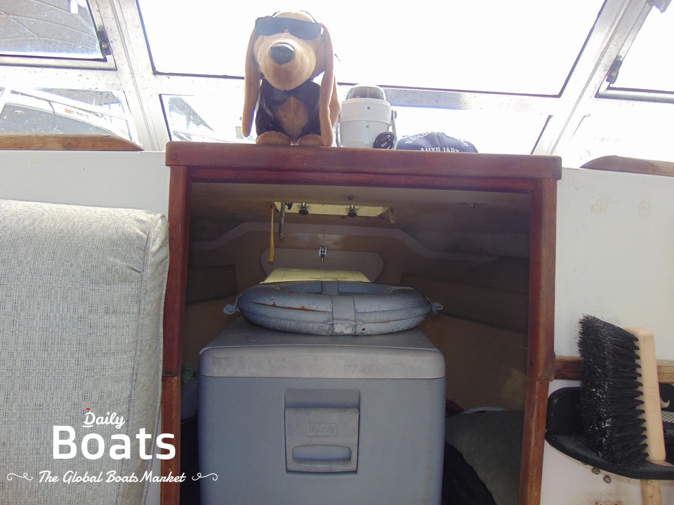 1986 Phoenix Convertible for sale. View price, photos and Buy 1986 ...