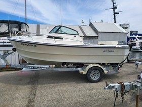 Arima sea ranger 17 for sale - Daily Boats
