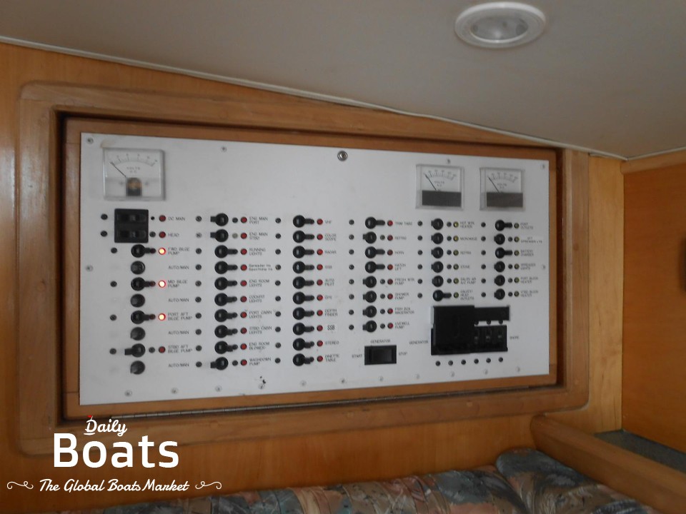 2002 Custom Carolina 36 Seaview Express for sale. View price, photos ...