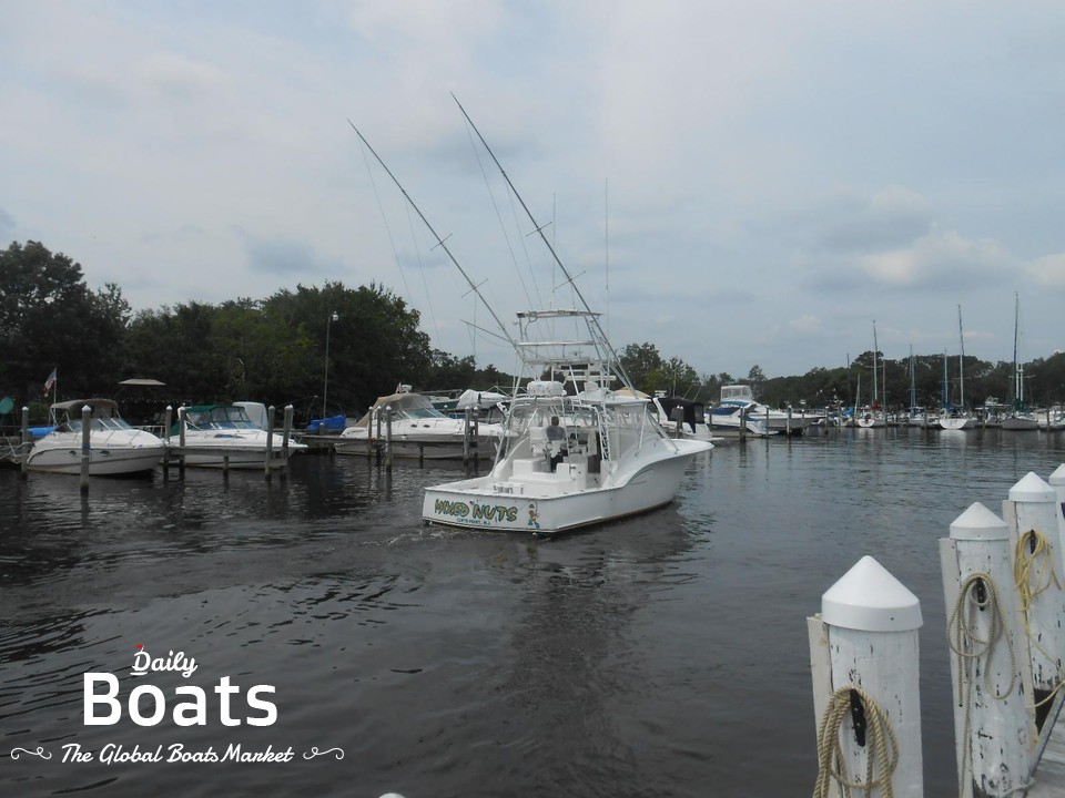 2002 Custom Carolina 36 Seaview Express for sale. View price, photos ...