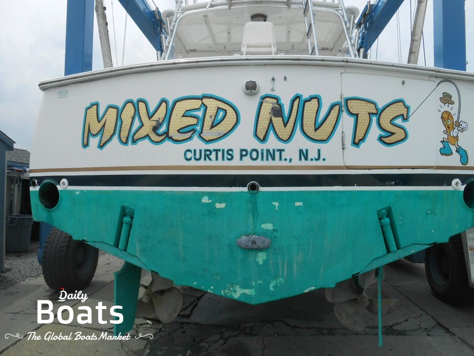 2002 Custom Carolina 36 Seaview Express for sale. View price, photos ...