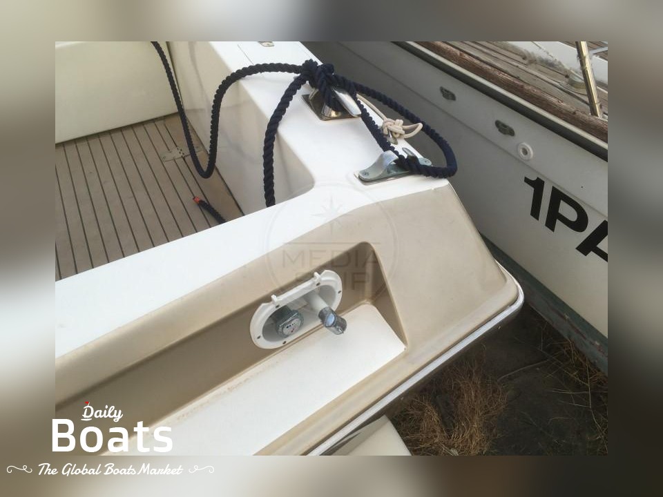 1984 Conam Lupo Di Mare 36 for sale. View price, photos and Buy 1984 ...