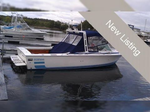 1984 Bertram 26 for sale. View price, photos and Buy 1984 Bertram 26 #3117