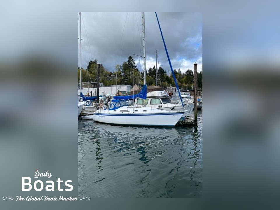 1984 Hunter 31 for sale. View price, photos and Buy 1984 Hunter 31 #312573