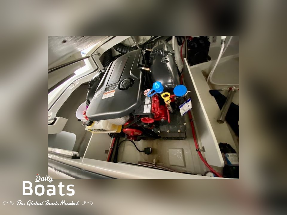 2019 Cobalt R5 for sale. View price, photos and Buy 2019 Cobalt R5 #313610