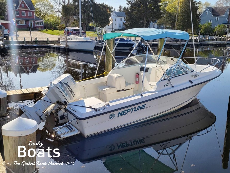 1996 Sunbird 201 Neptune Dual Console for sale. View price, photos and ...