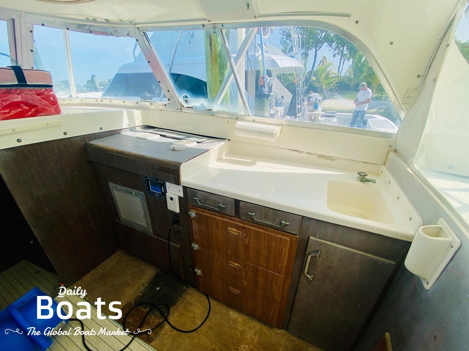 1972 Bertram 31 Sportfisher for sale. View price, photos and Buy 1972 ...