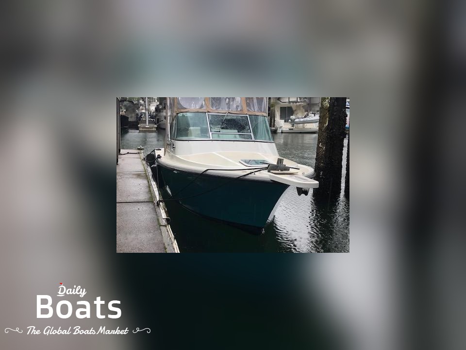 1990 Shamrock Predator for sale. View price, photos and Buy 1990 ...