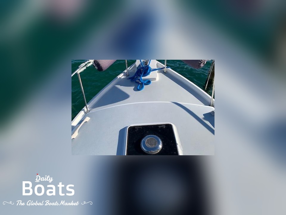 2005 Duffy 31 Hardtop Cruiser for sale. View price, photos and Buy 2005 ...