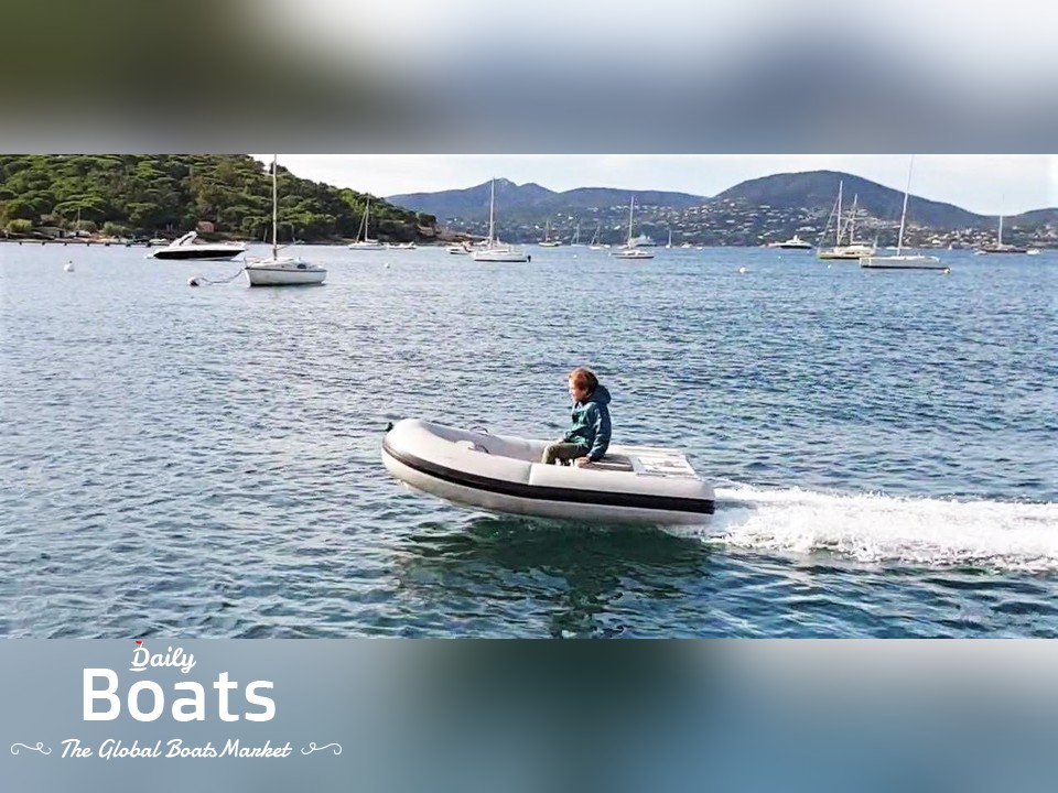 2019 Jet Tender Axa Marine 250 for sale. View price, photos and Buy ...