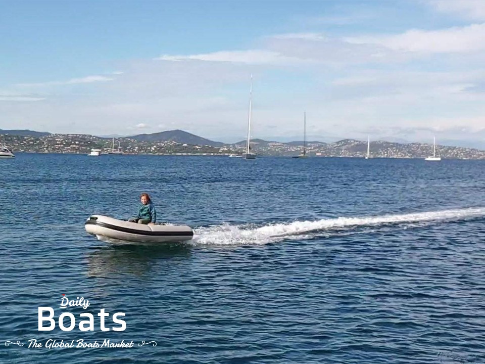 2019 Jet Tender Axa Marine 250 for sale. View price, photos and Buy ...