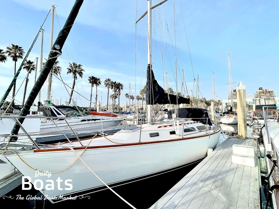 Sabre 362 for sale - Daily Boats