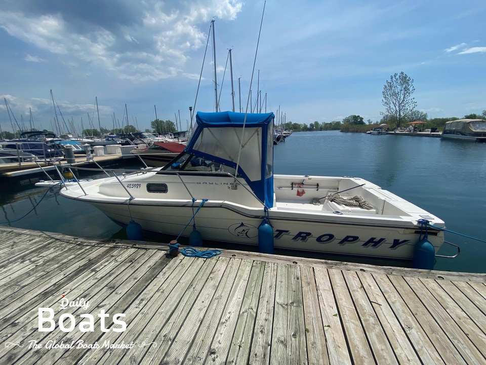 1993 Bayliner 1802 Trophy Walkaround for sale. View price, photos and ...