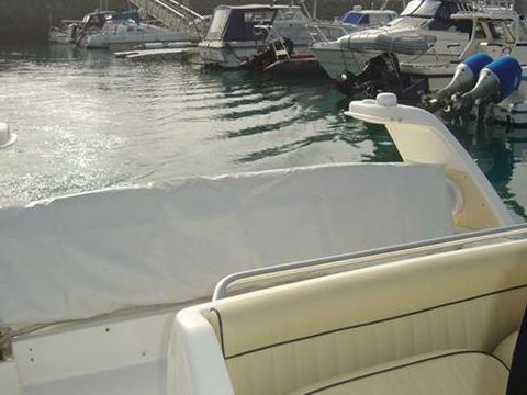 2011 Marlin 29 for sale. View price, photos and Buy 2011 Marlin 29 #31568