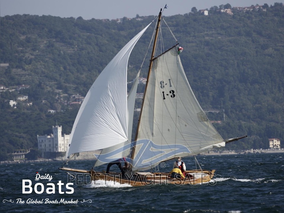 1990 Custom Sciarrelli Passera for sale. View price, photos and Buy ...