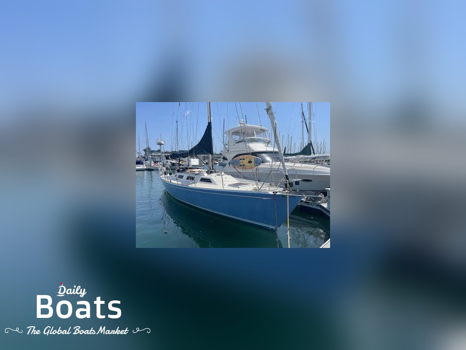 1986 Barnett Custom for sale. View price, photos and Buy 1986 Barnett ...