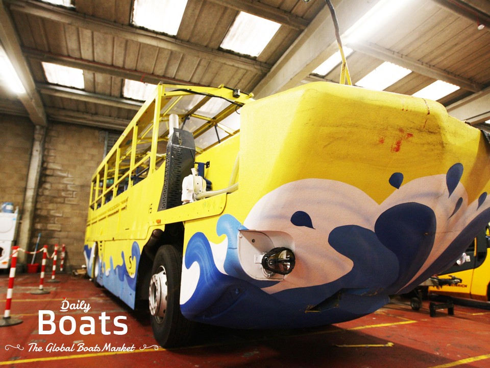 2019 Custom Salamander for sale. View price, photos and Buy 2019 Custom ...