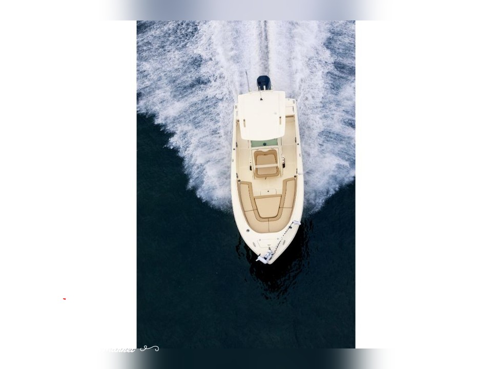 2022 Scout 251 Xss for sale. View price, photos and Buy 2022 Scout 251 ...