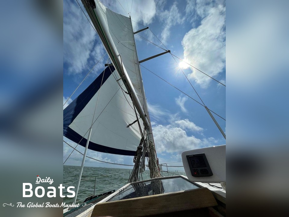 1980 Custom Williwaws 43 for sale. View price, photos and Buy 1980 ...