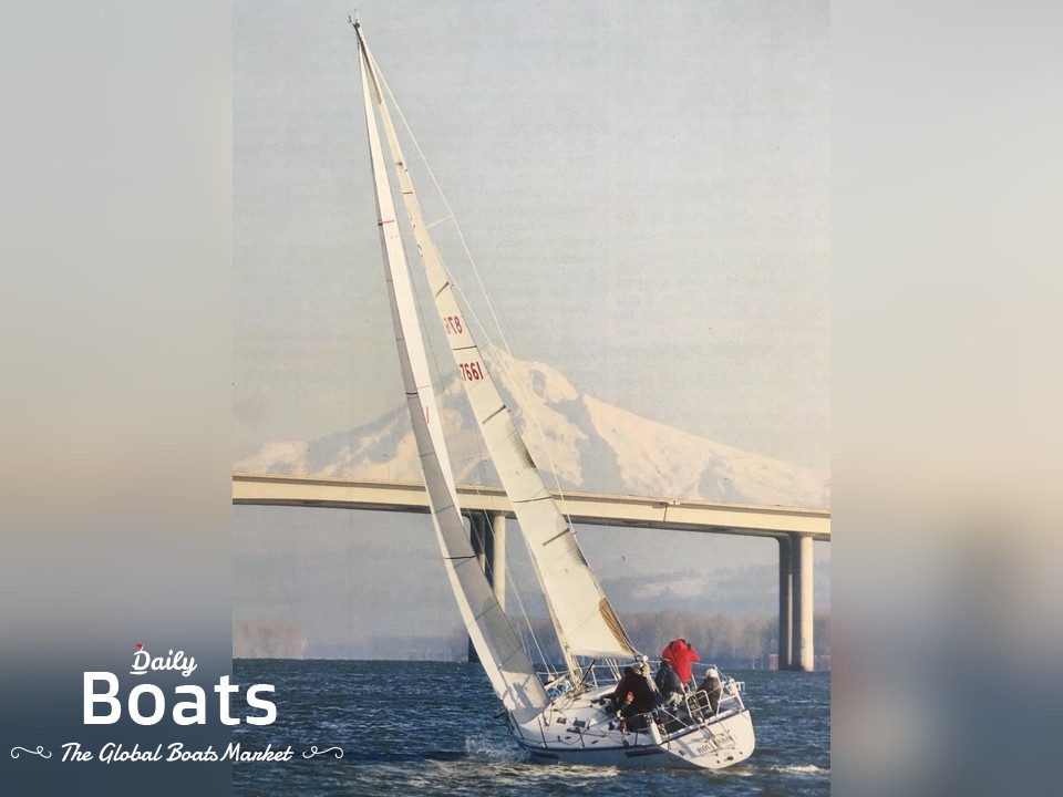 1984 Schock 35 for sale. View price, photos and Buy 1984 Schock 35 #319975