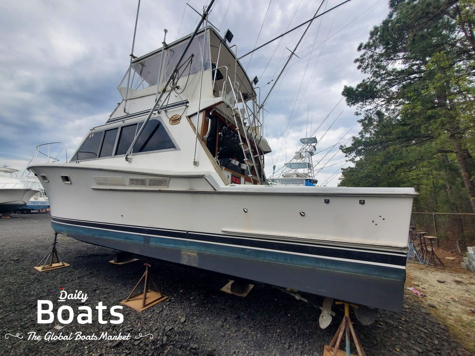 1983 Jersey 40 Dawn for sale. View price, photos and Buy 1983 Jersey 40 ...