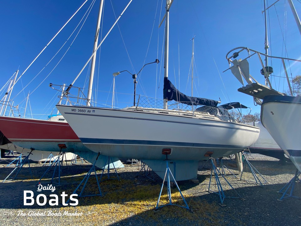 1986 Pearson 303 for sale. View price, photos and Buy 1986 Pearson 303 ...