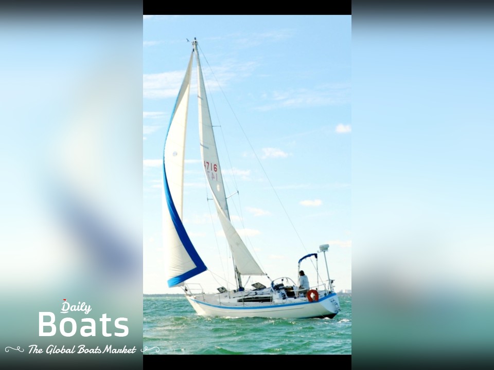 1974 Chance 3228 Paceship for sale. View price, photos and Buy 1974 ...