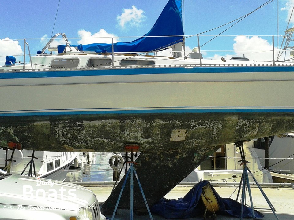 1974 Chance 3228 Paceship for sale. View price, photos and Buy 1974 ...