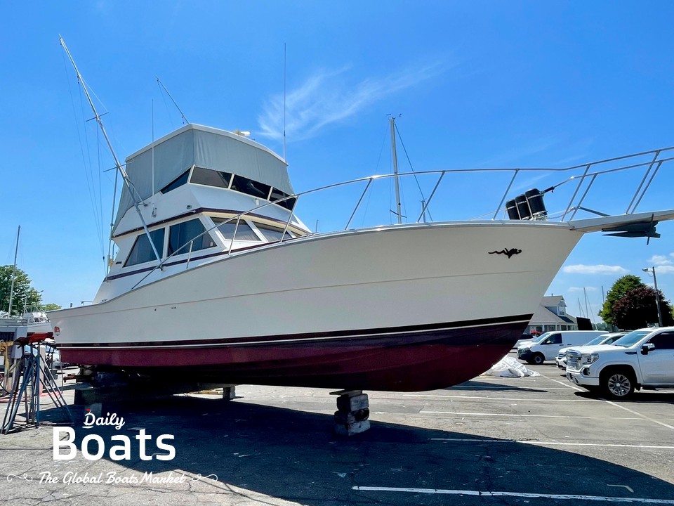 1985 Viking Convertible for sale. View price, photos and Buy 1985 ...